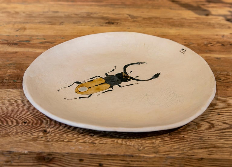 Big Round Plate in hand painted Ceramic with Insect For Sale at 1stDibs