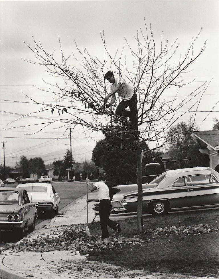 Bill Owens - Bill Owens: Suburbia Portfolio (15 photographs) For Sale ...