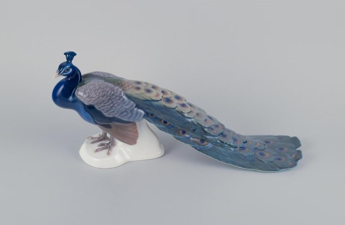 Bing and Grøndahl, large porcelain figurine of a peacock. From the ...
