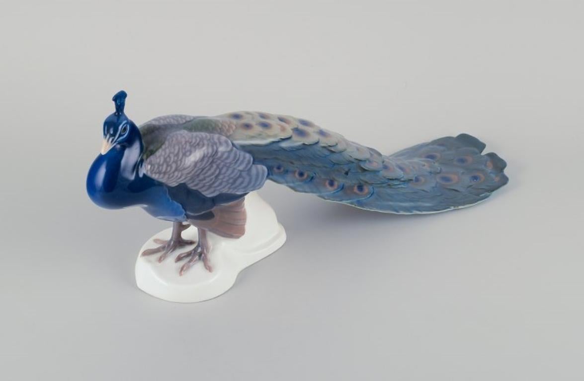 Bing and Grøndahl, large porcelain figurine of a peacock. From the ...