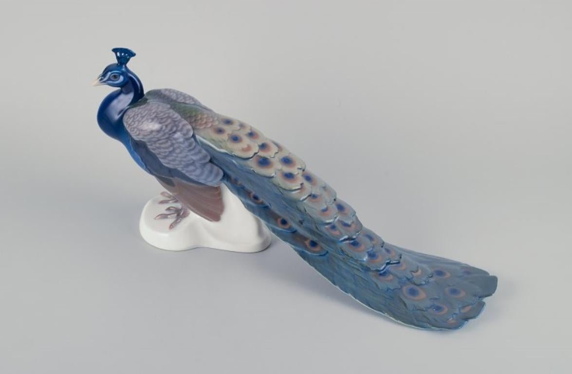 Bing and Grøndahl, large porcelain figurine of a peacock. From the ...