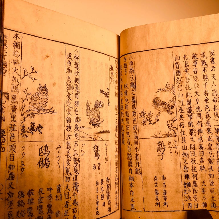 Bird Watchers Guide: Rare Japanese Antique Woodblock Book, 1712 at 1stDibs