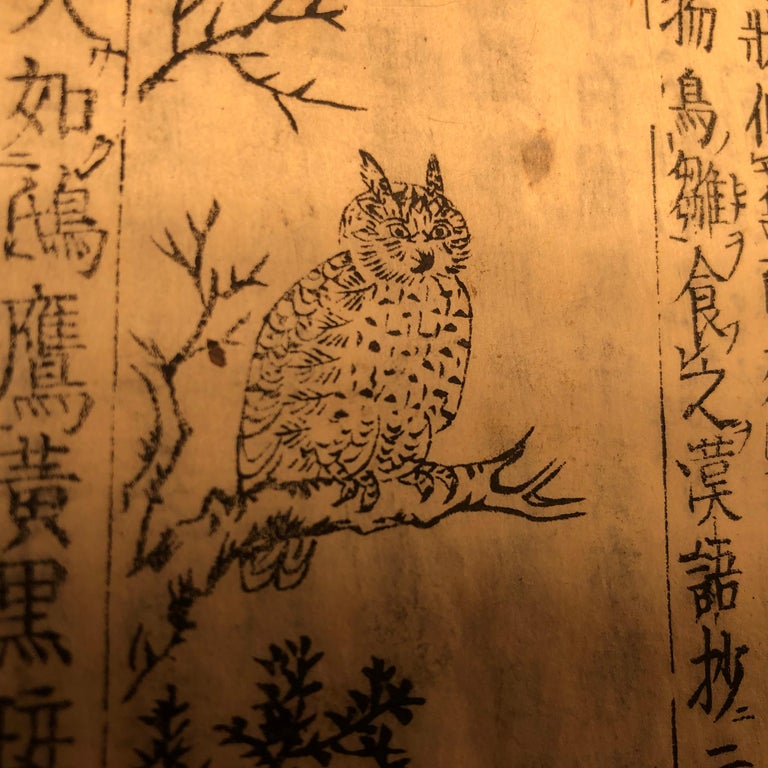 Bird Watchers Guide: Rare Japanese Antique Woodblock Book, 1712 at 1stDibs
