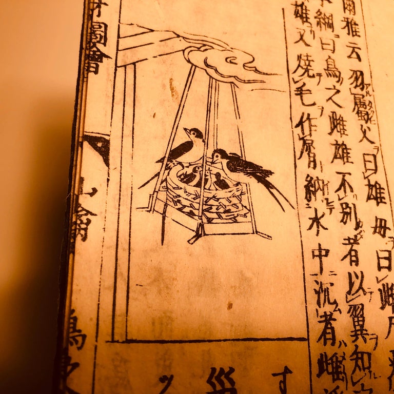 Bird Watchers Guide: Rare Japanese Antique Woodblock Book, 1712 at 1stDibs