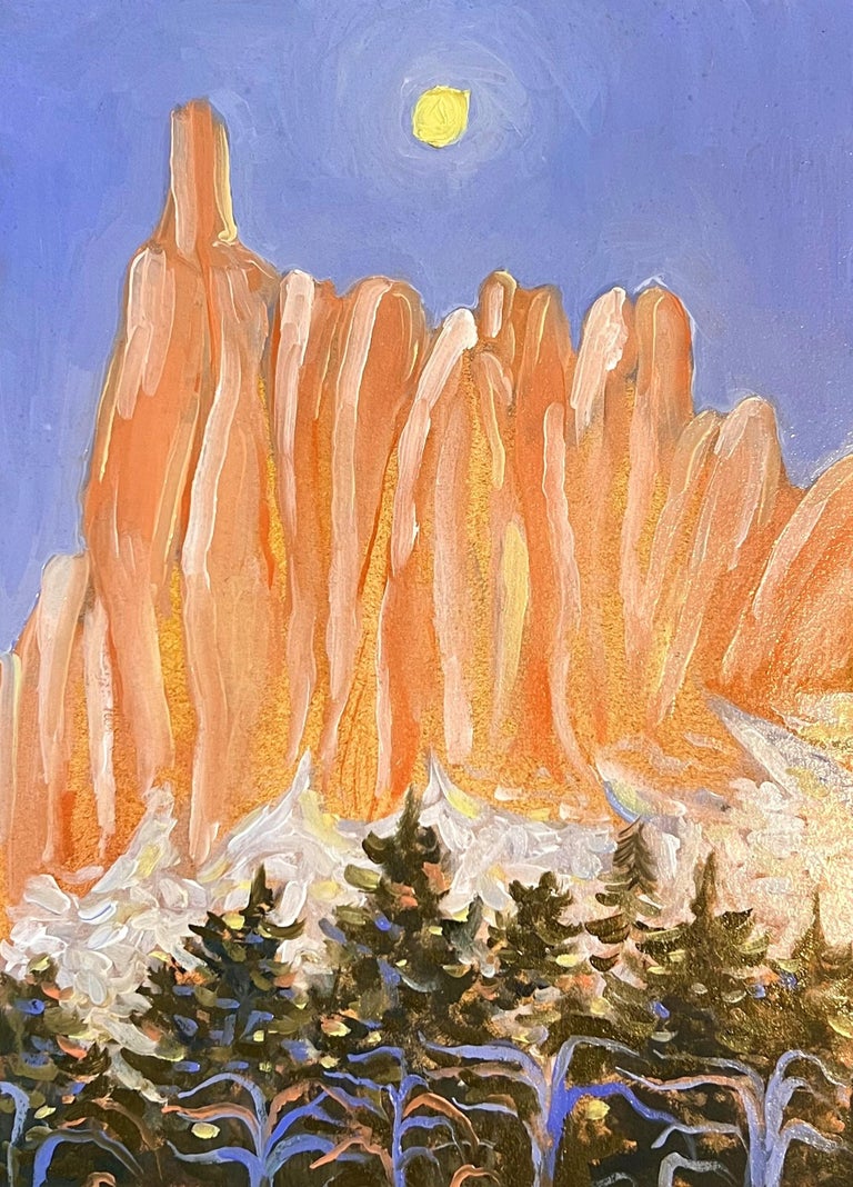 Birdie Hall - Pink Canyons in Snow For Sale at 1stDibs