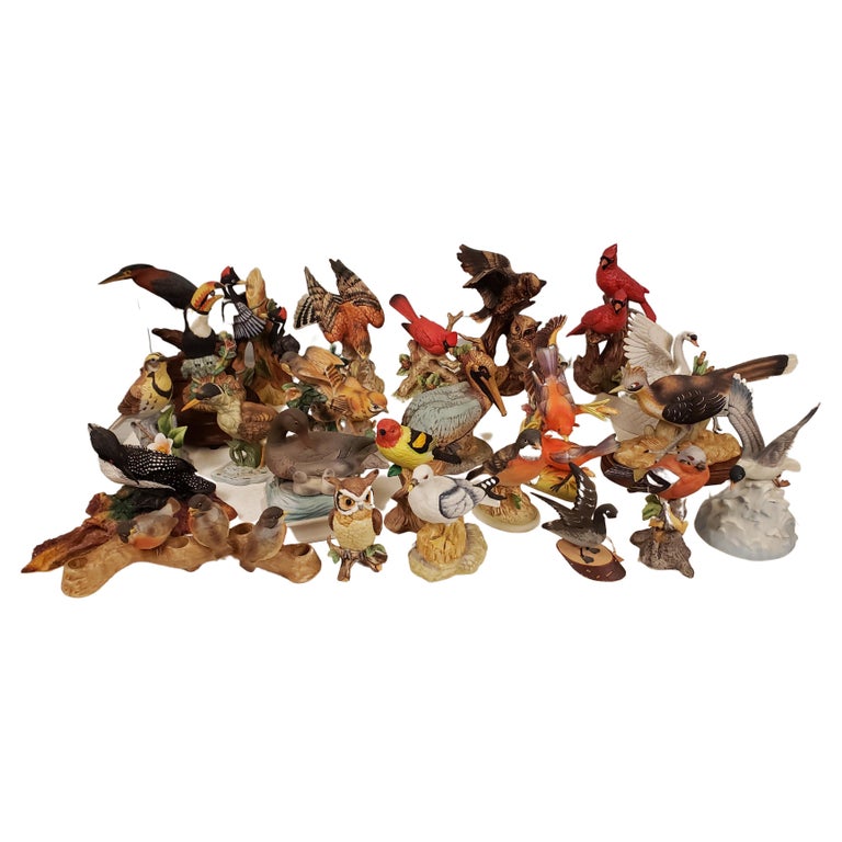 Birds a Collection of 25 Bird Figures and Music Boxes For Sale at 1stDibs