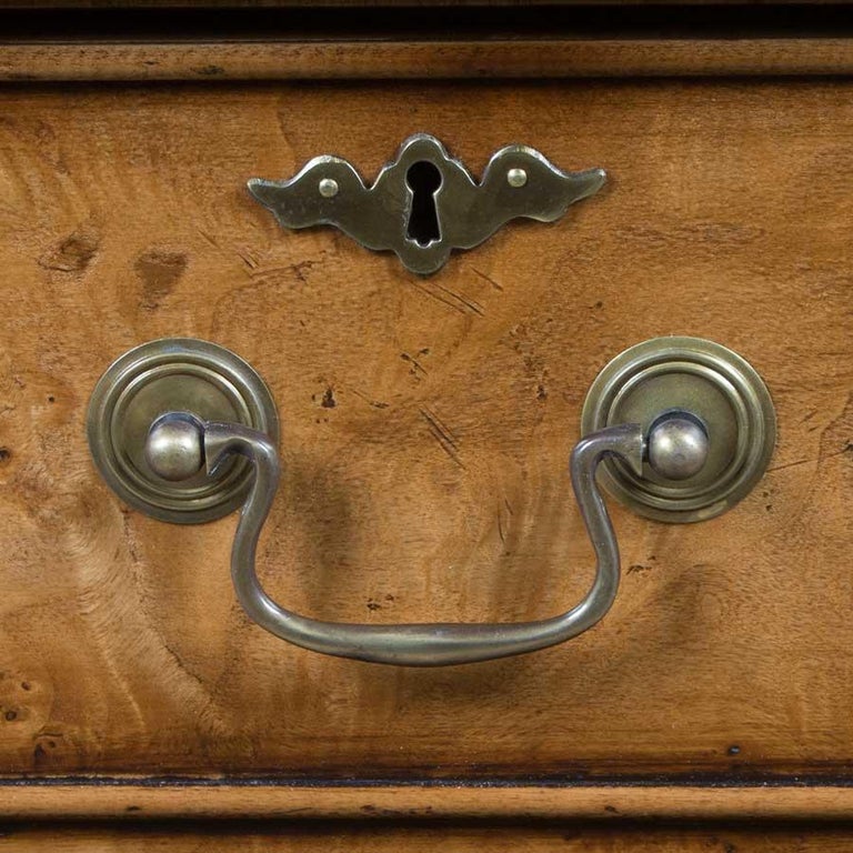 Bird's Eye Maple Two-Drawer File Cabinet Legal or Letter at 1stDibs