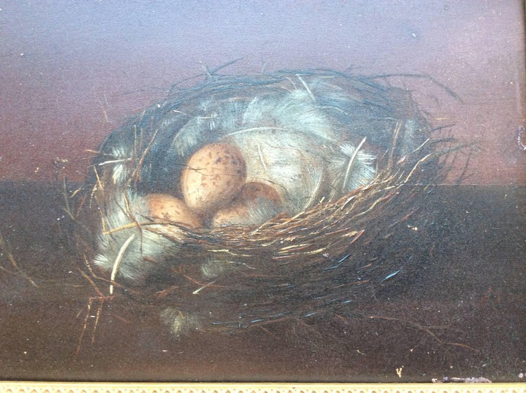 Bird's Nest, Oil Painting, Circa 1830 For Sale at 1stDibs