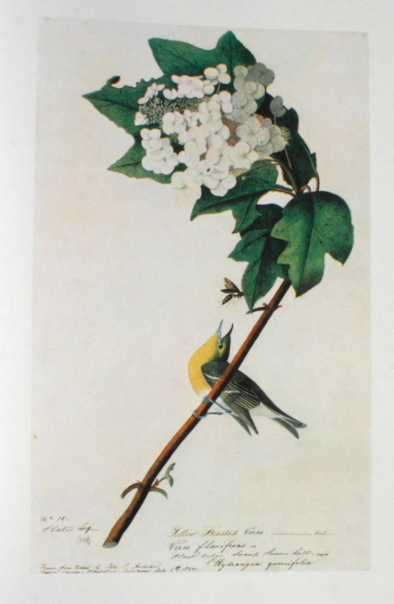 Birds of America by John James Audubon, Vol. I and II, First Edition at ...