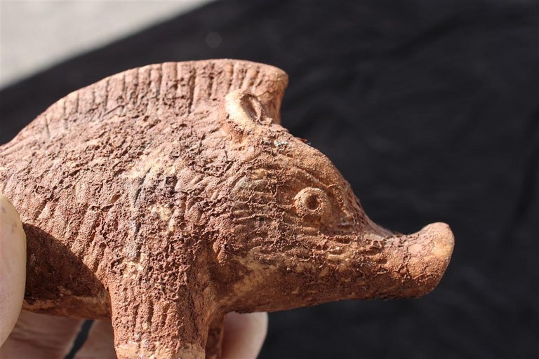 Bitossi Ceramic Depicting Wild Boar in Fake Excavation, 1960 For Sale ...