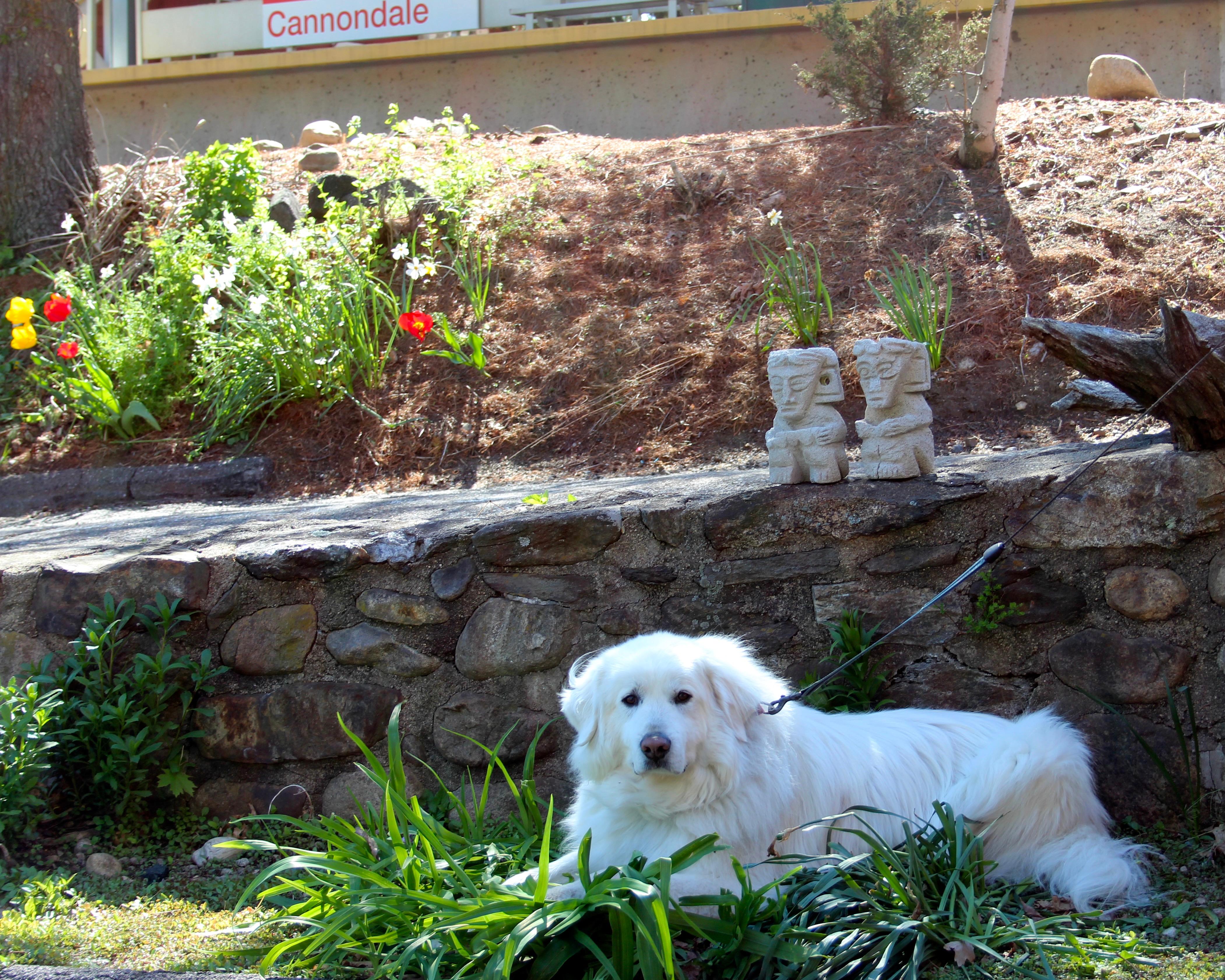 Bitossi Londi Raymor Vase Italian Vintage MCM Pottery Labels Platinum ...