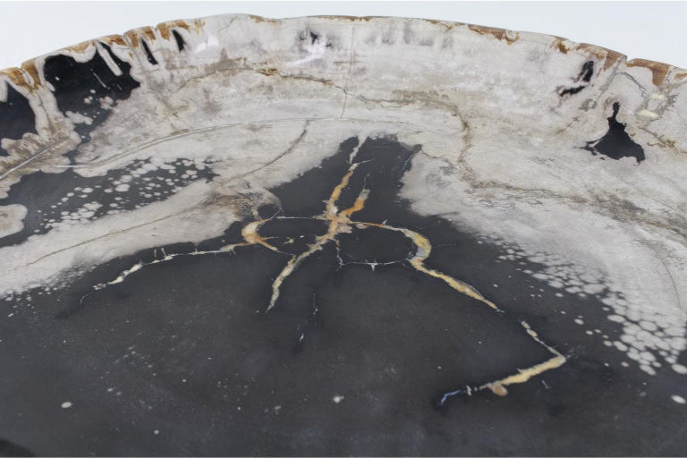 Black and Beige Petrified Wooden Platter, Organic, Home Accessory For ...