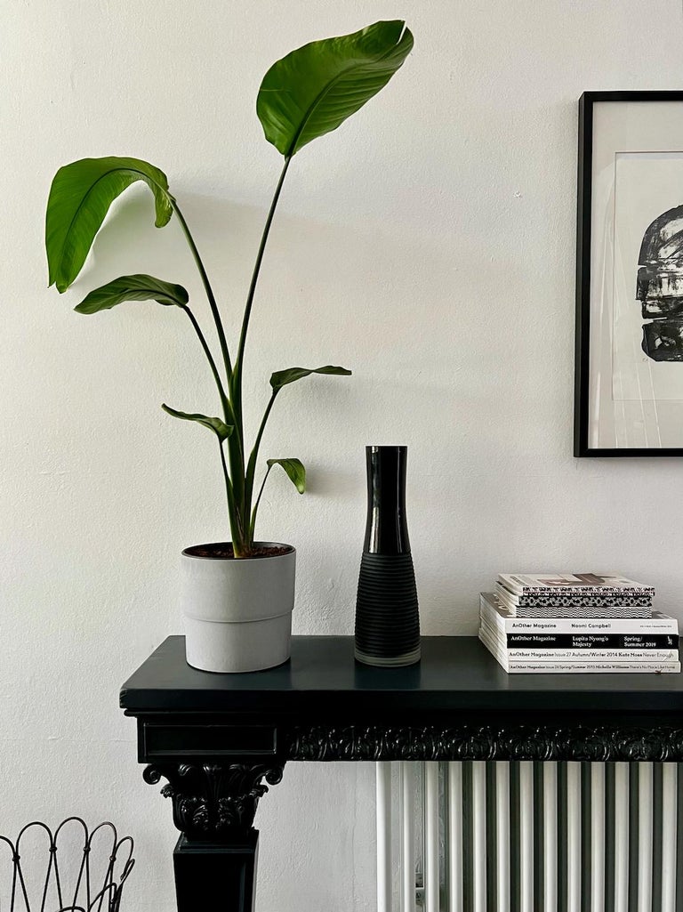 Black Cased Glass Vase with Ribbed Detail, Murano Italy For Sale at 1stDibs