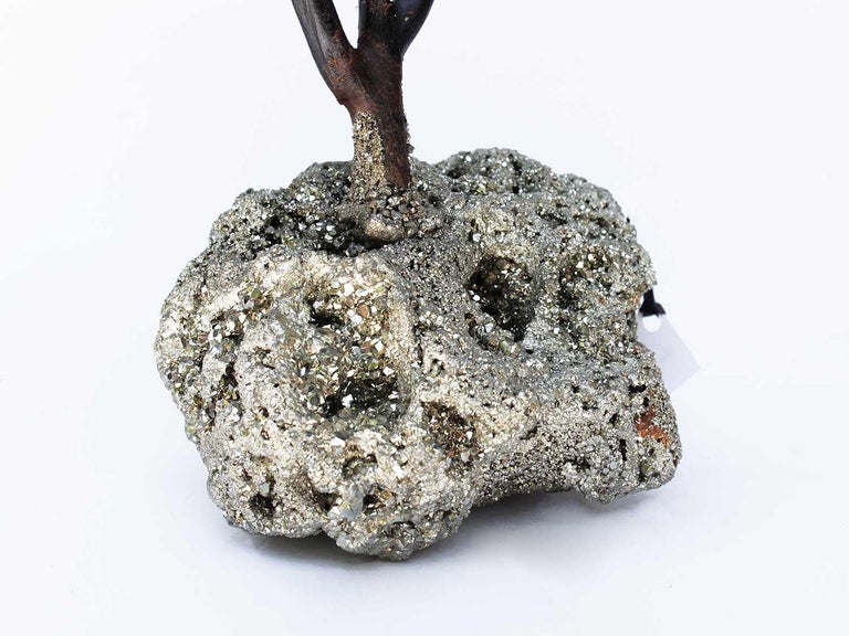 Black Coral on a Pyrite Crystal Base with a Fossil Seashell For Sale at ...