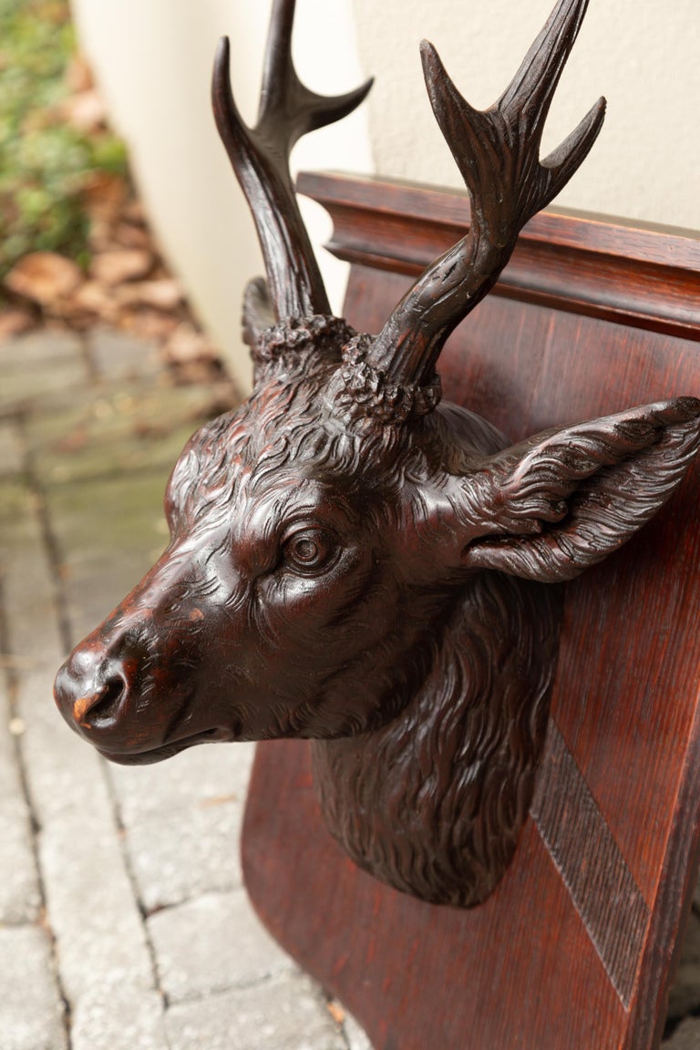 Black Forest 1900s Hand Carved Wooden Buck Head Mounted on Shield Plate ...