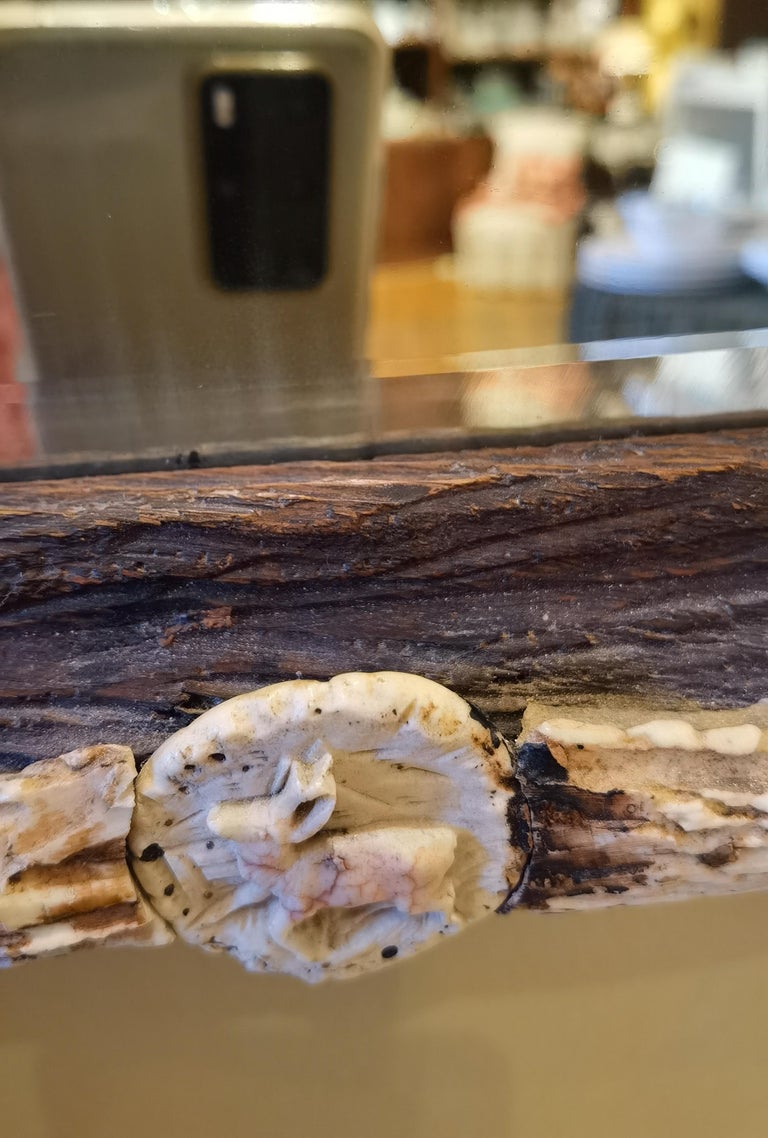 Black Forest 19th Century German Mirror Hunting Design For Sale at 1stDibs