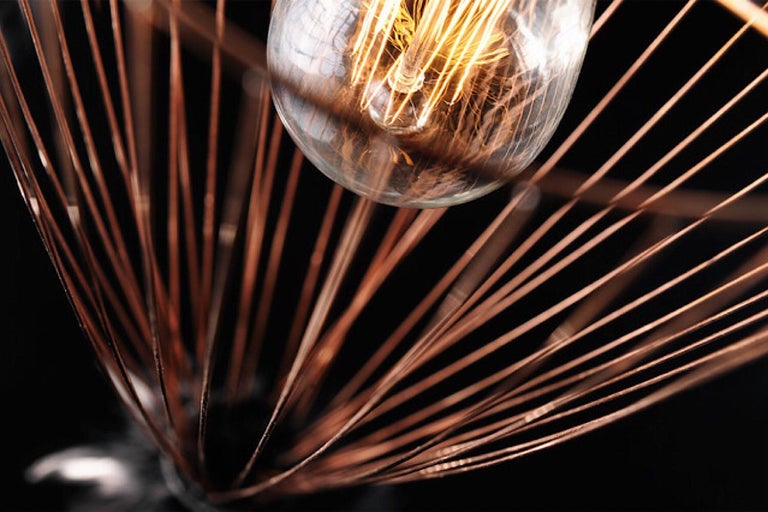 Black French Feathers Pendant For Sale at 1stDibs