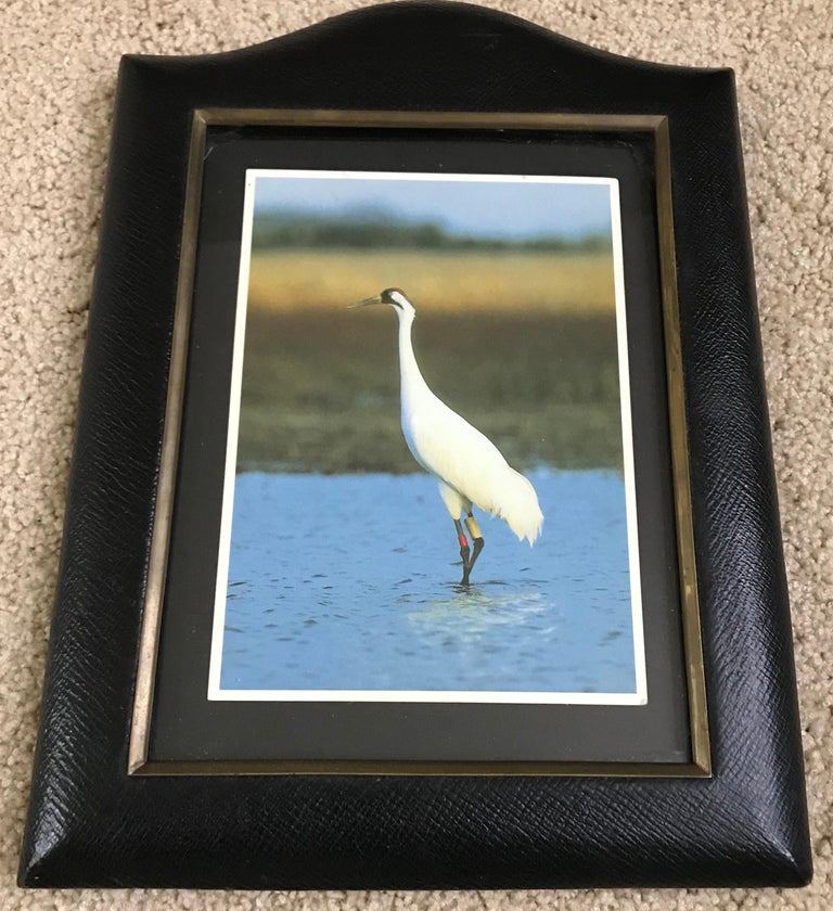 Black Leather Frame with Brass Inset Rim For Sale at 1stDibs