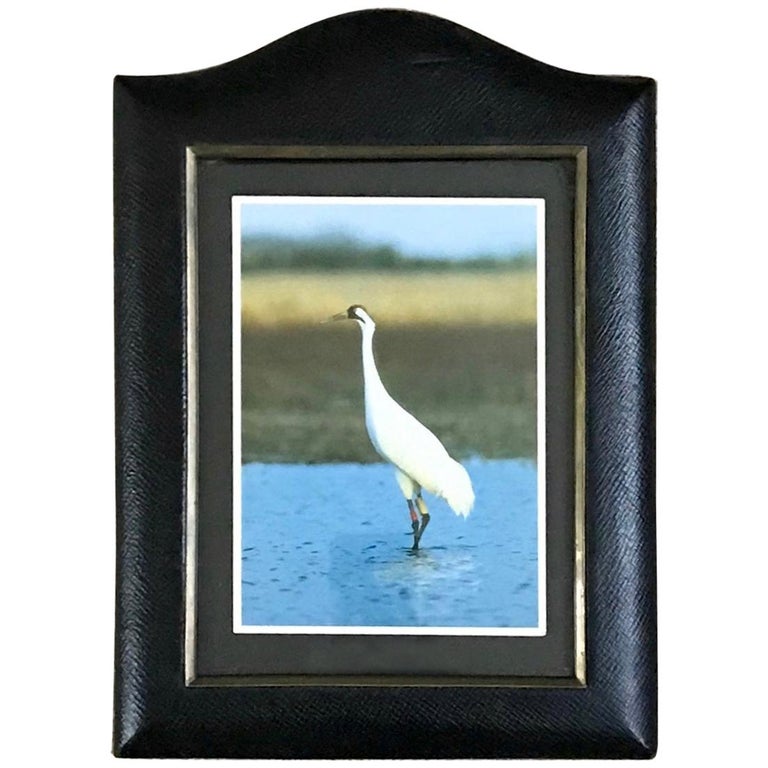 Black Leather Frame with Brass Inset Rim For Sale at 1stDibs