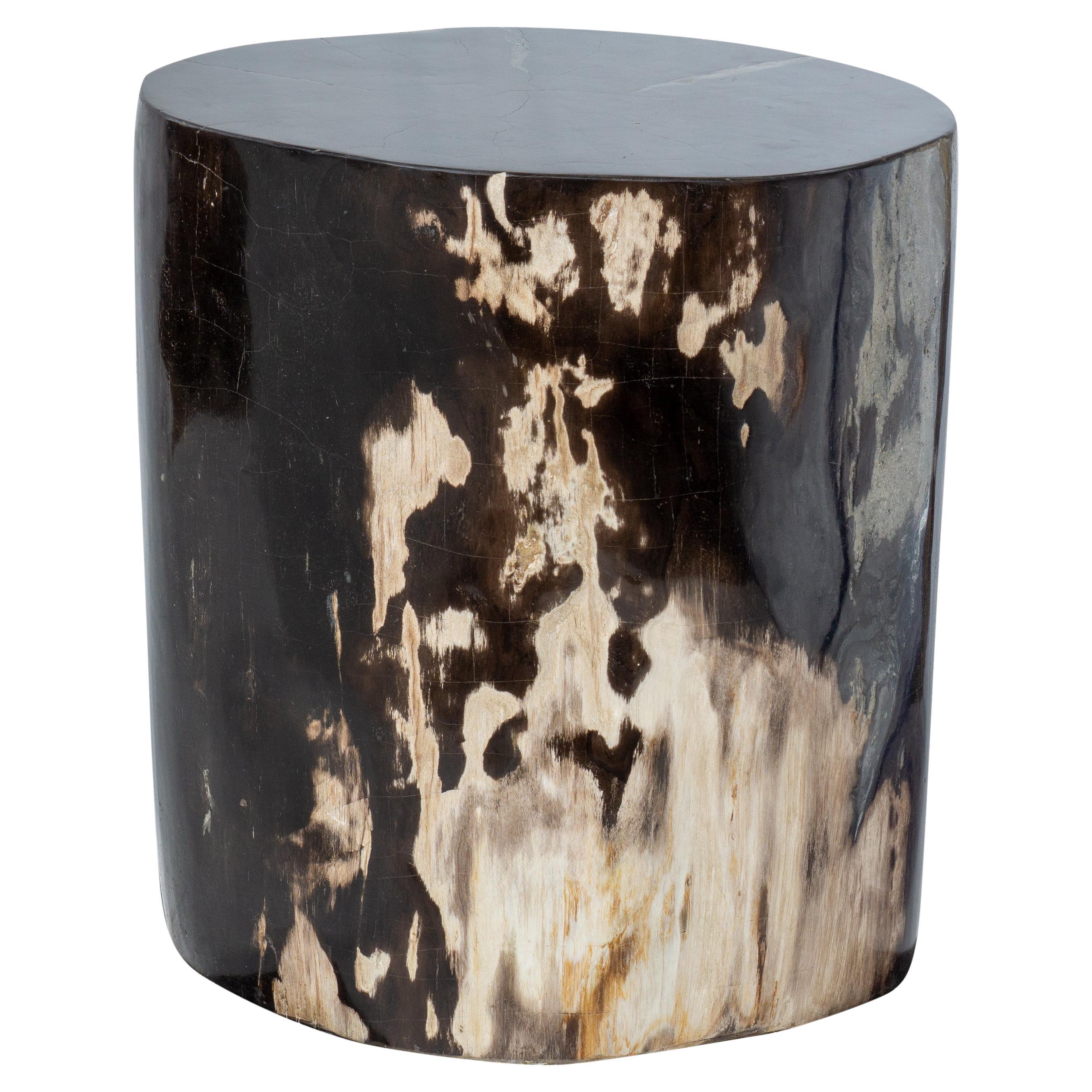 Petrified Wood Side Table in Sandstone Beige with Black Accents For ...