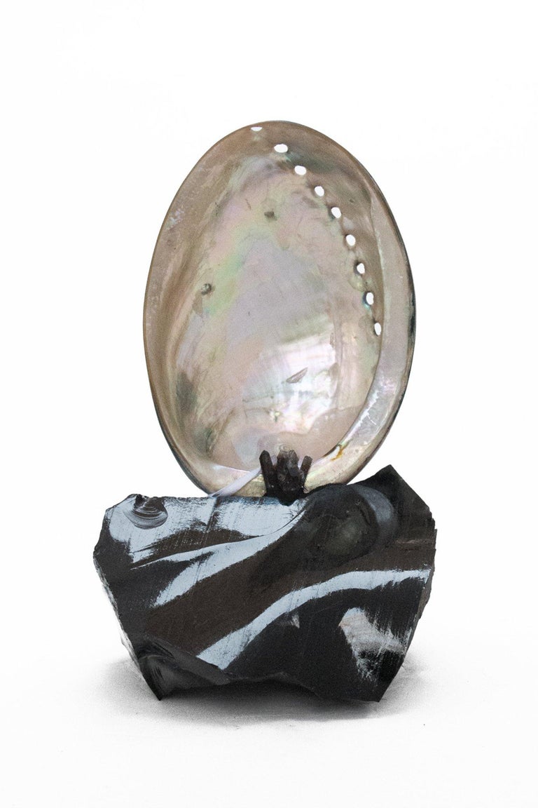 abalone shell fragment