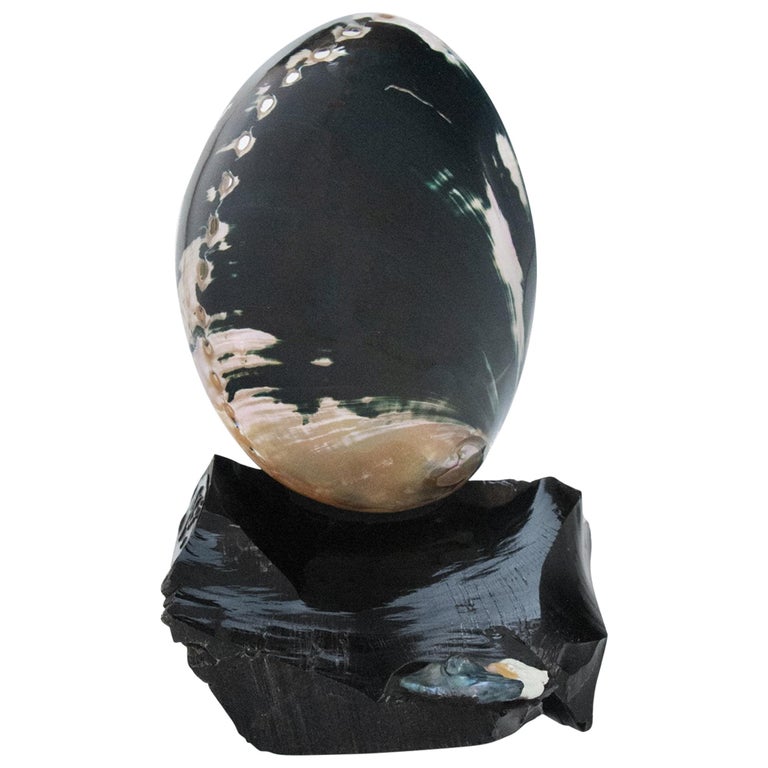 Black Polished Abalone Shell on Obsidian with Baroque Pearls at 1stDibs