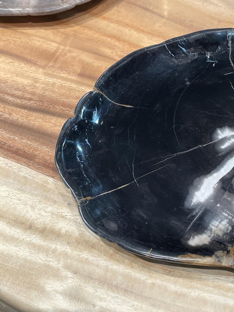 Black with Cream Petrified Wood Plate, Indonesia, Contemporary For Sale ...