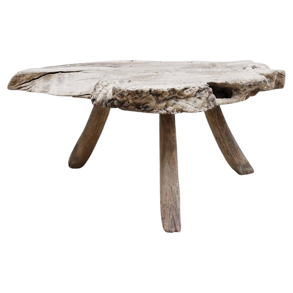 Burled Root Table Base For Sale at 1stDibs