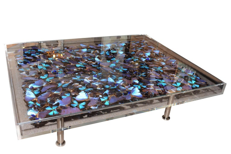 Blue Butterflies Coffee Table at 1stDibs | butterfly coffee table, blue ...