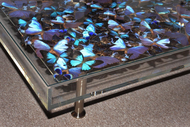 Blue Butterflies Coffee Table at 1stDibs | butterfly coffee table, blue ...