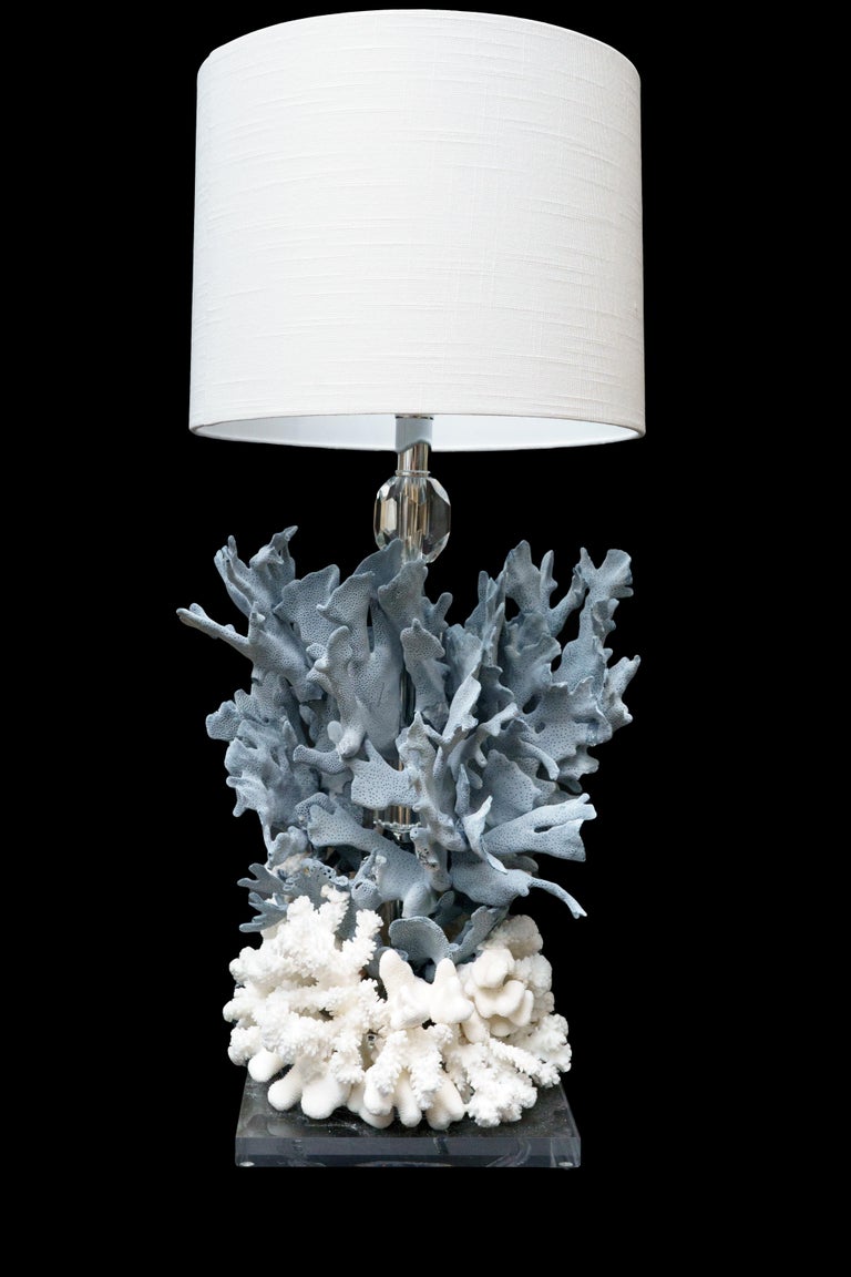 Blue Coral Creation Lamp For Sale at 1stDibs | blue coral lamp