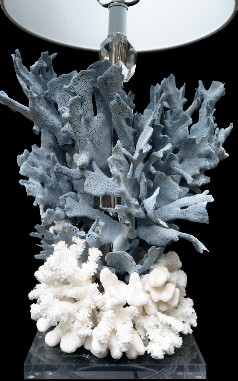 Blue Coral Creation Lamp For Sale at 1stDibs | blue coral lamp