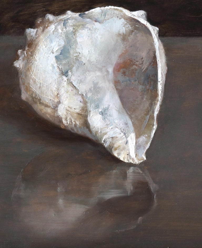 Blue Fossil Shell, Single Sea Shell Fossil on a Deep Brown Toned ...