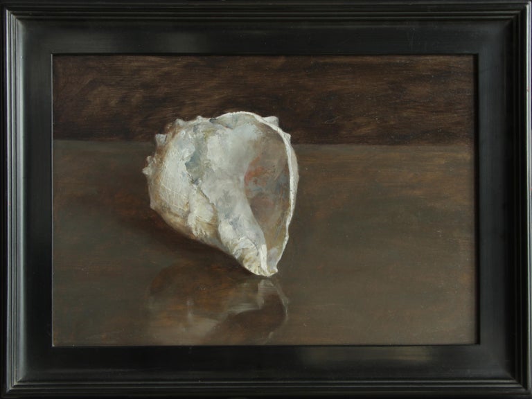 Blue Fossil Shell, Single Sea Shell Fossil on a Deep Brown Toned ...