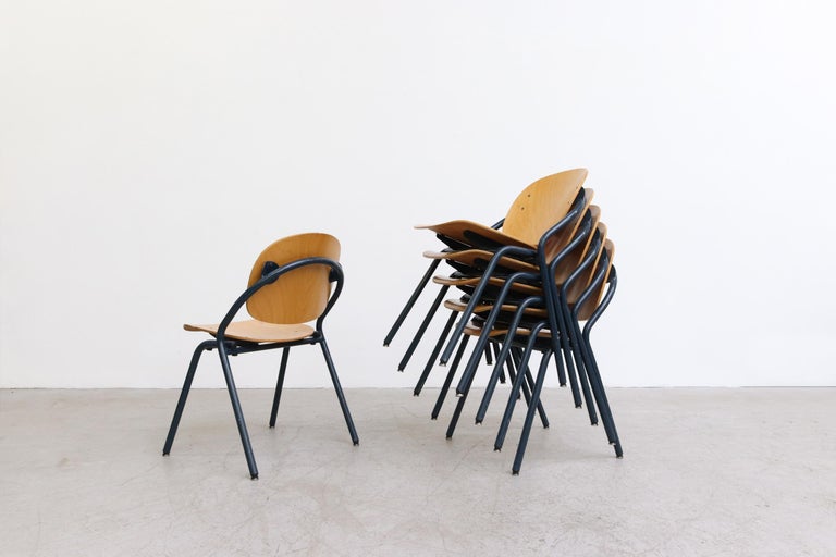 Blue Framed Birch Stacking Chairs For Sale at 1stDibs