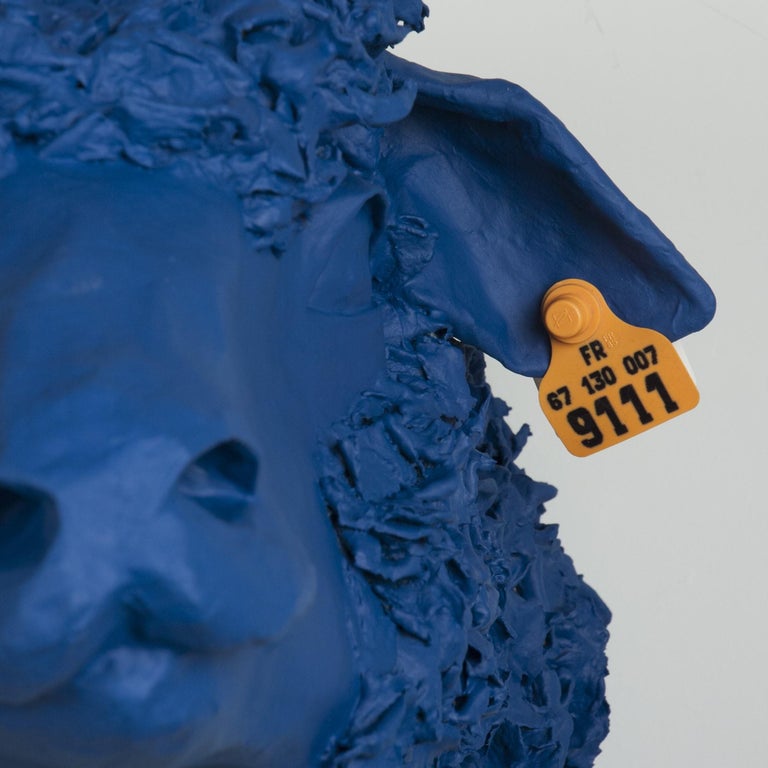 Blue Sheep Trophy, Tondu FR9111 For Sale at 1stDibs