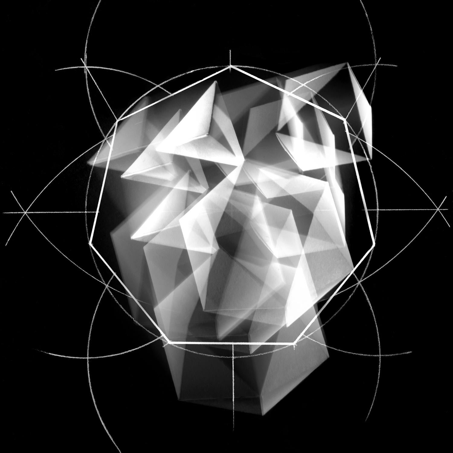 Platinum Photography - 470 For Sale at 1stdibs