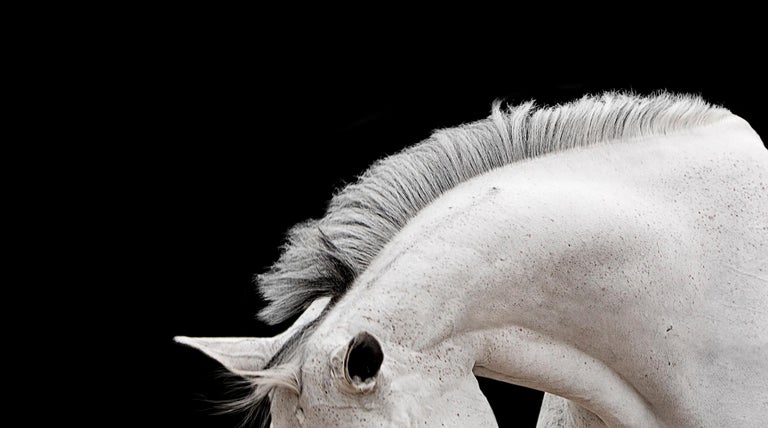 Bob Tabor - 0094. -Edition 1/8 For Sale at 1stDibs