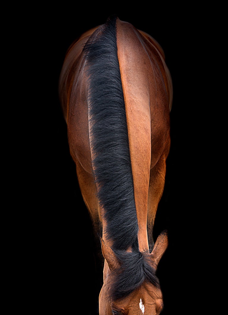 Bob Tabor - 1056-Limited ED 1/15 For Sale at 1stDibs