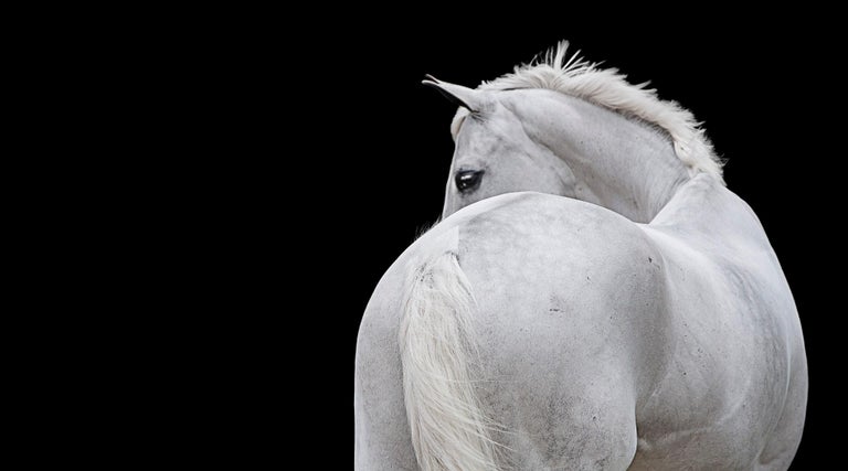 Bob Tabor - 1730- Edition 2/8 For Sale at 1stDibs