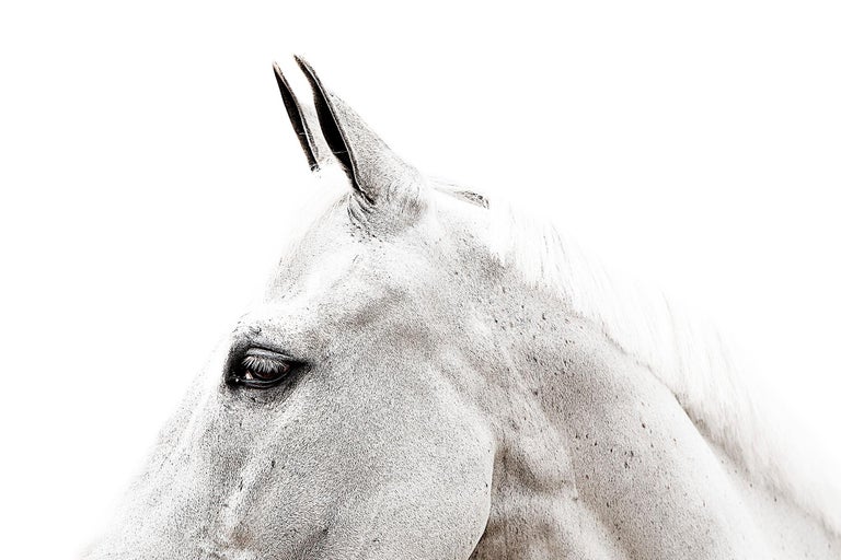 Bob Tabor - 1880- Edition 1/8 For Sale at 1stDibs