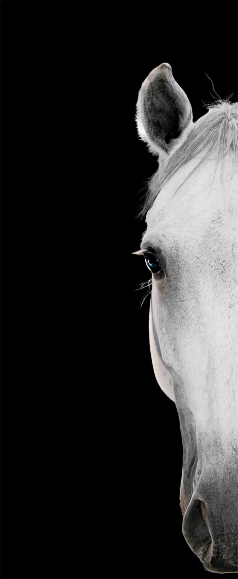 Bob Tabor - 26 - Edition 12/18 For Sale at 1stDibs