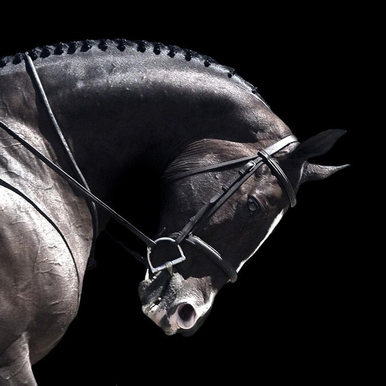 Bob Tabor - 2842 For Sale at 1stDibs