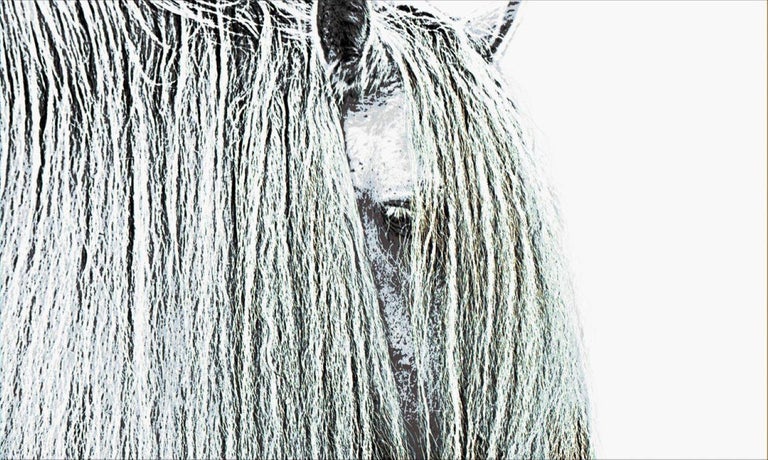 Bob Tabor - 5S58825 For Sale at 1stDibs