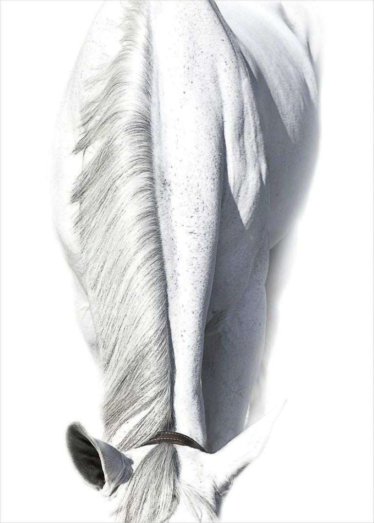 Bob Tabor - 7247 For Sale at 1stDibs