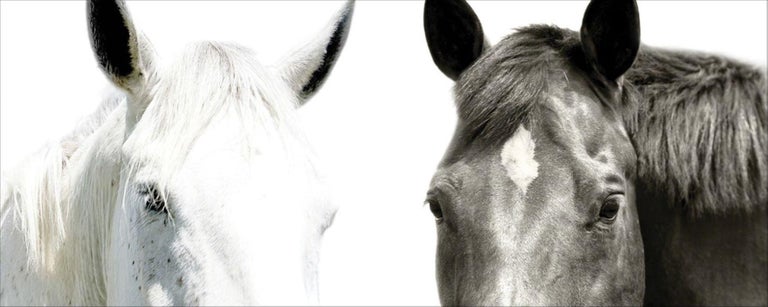 Bob Tabor - Black_and_White_Ver4 For Sale at 1stDibs