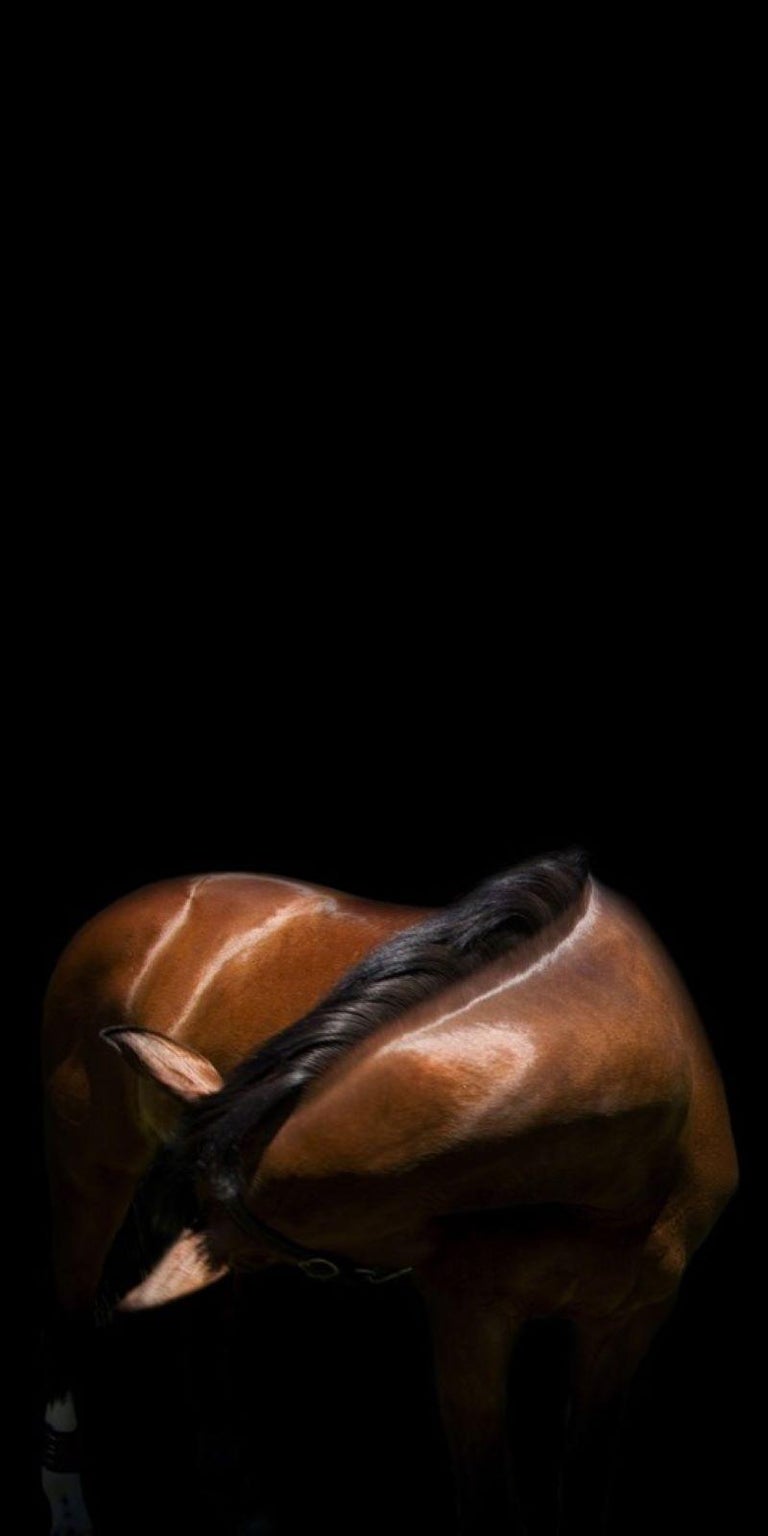 Bob Tabor - MG_0017 For Sale at 1stDibs