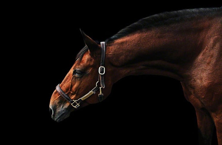 Bob Tabor - RL 2 For Sale at 1stDibs