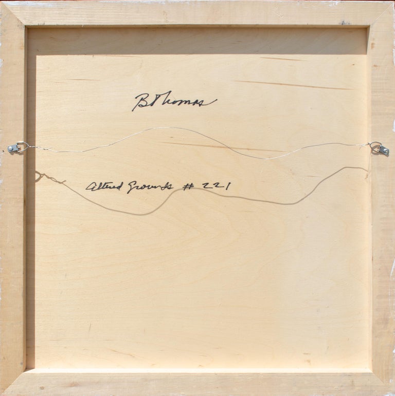 thomas silverstein art