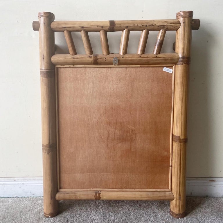 Boho Bamboo Mirror With Bamboo Doors For Sale at 1stDibs